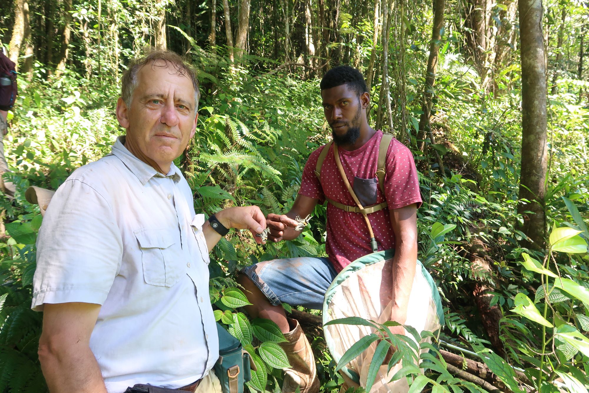 SBBT’s Further Studies on the Natewa Swallowtail - SBBT