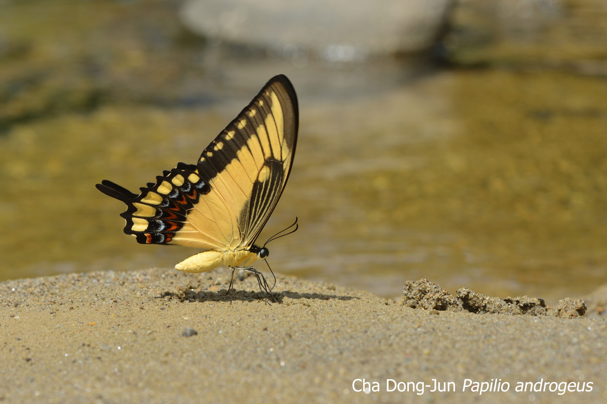 SBBT Photography Competition Winners - SBBT