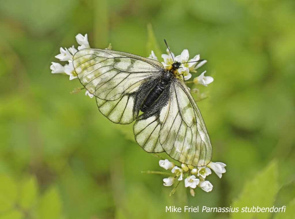 SBBT Photography Competition Winners - SBBT