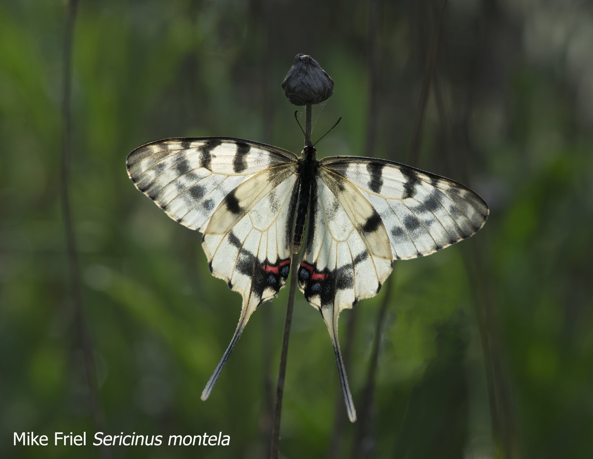 SBBT Photography Competition Winners - SBBT