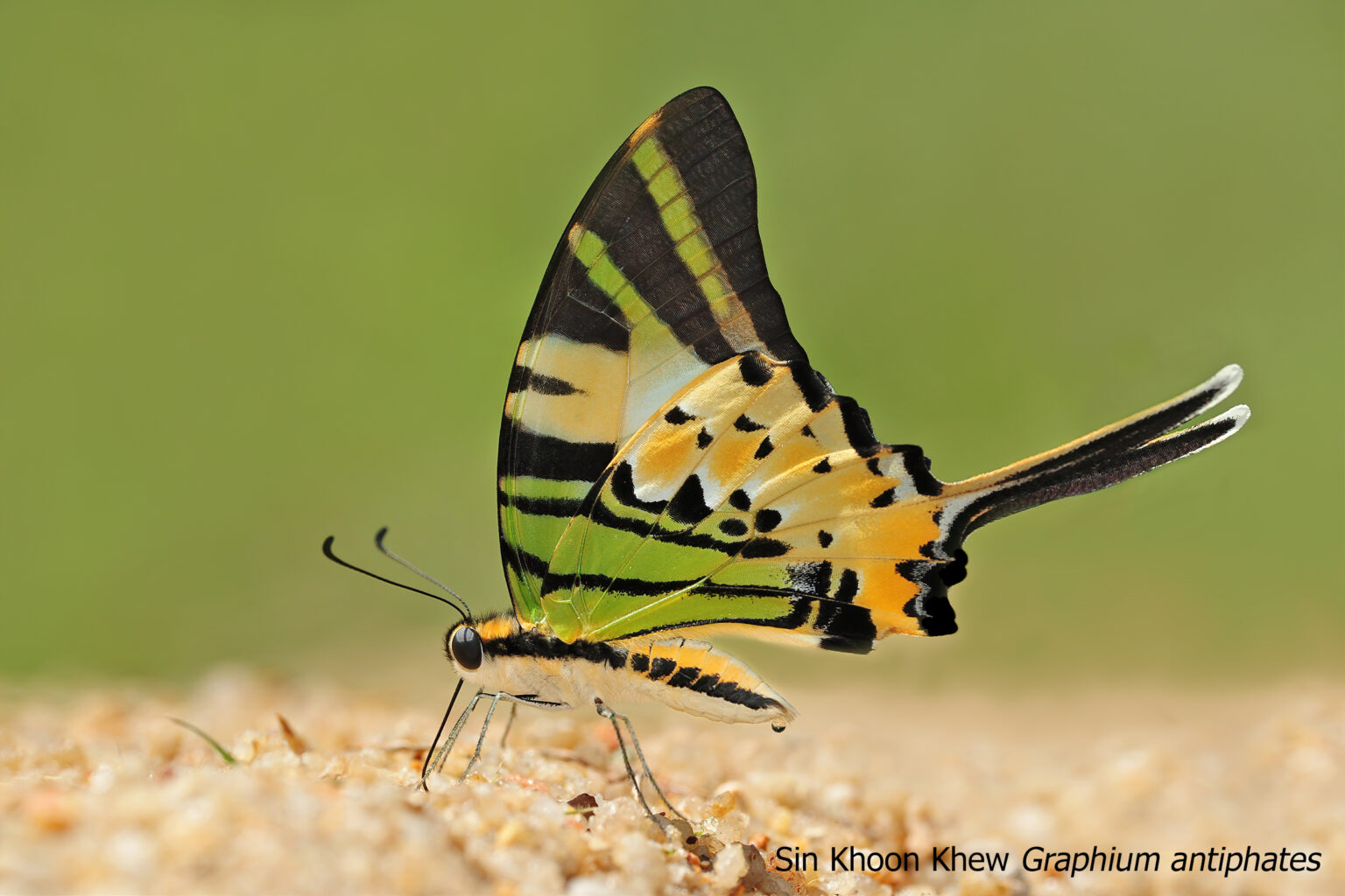 SBBT Photography Competition Winners - SBBT