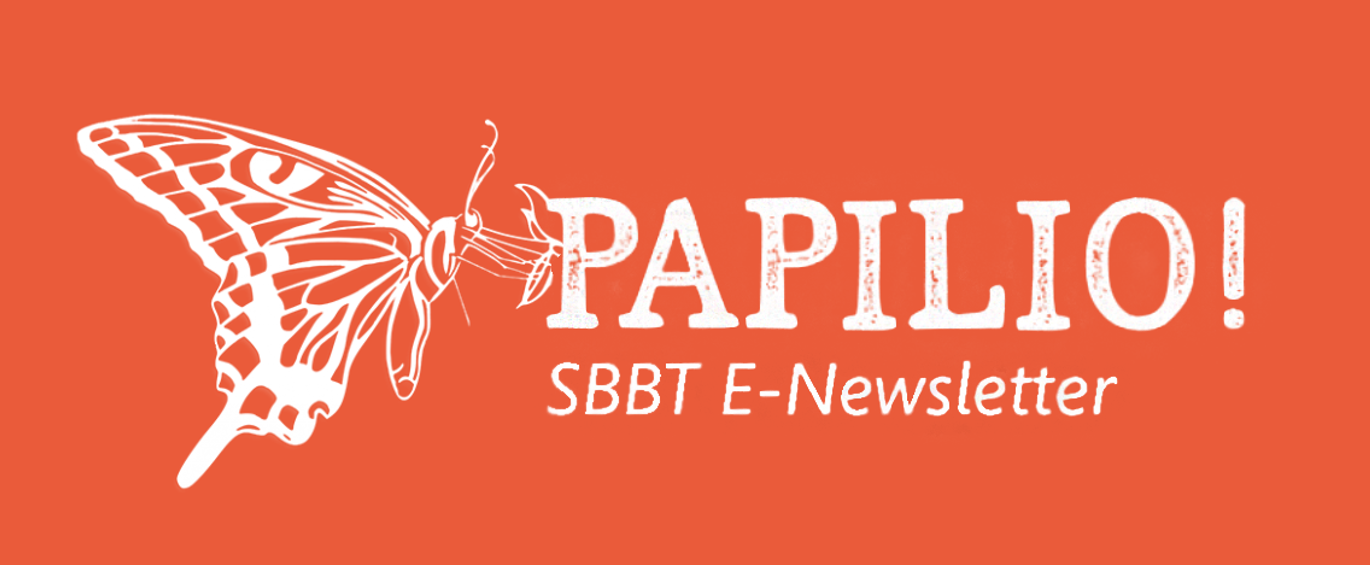 Meet the British Swallowtail - SBBT